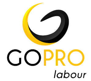 Warehouse Labour Hire Sydney